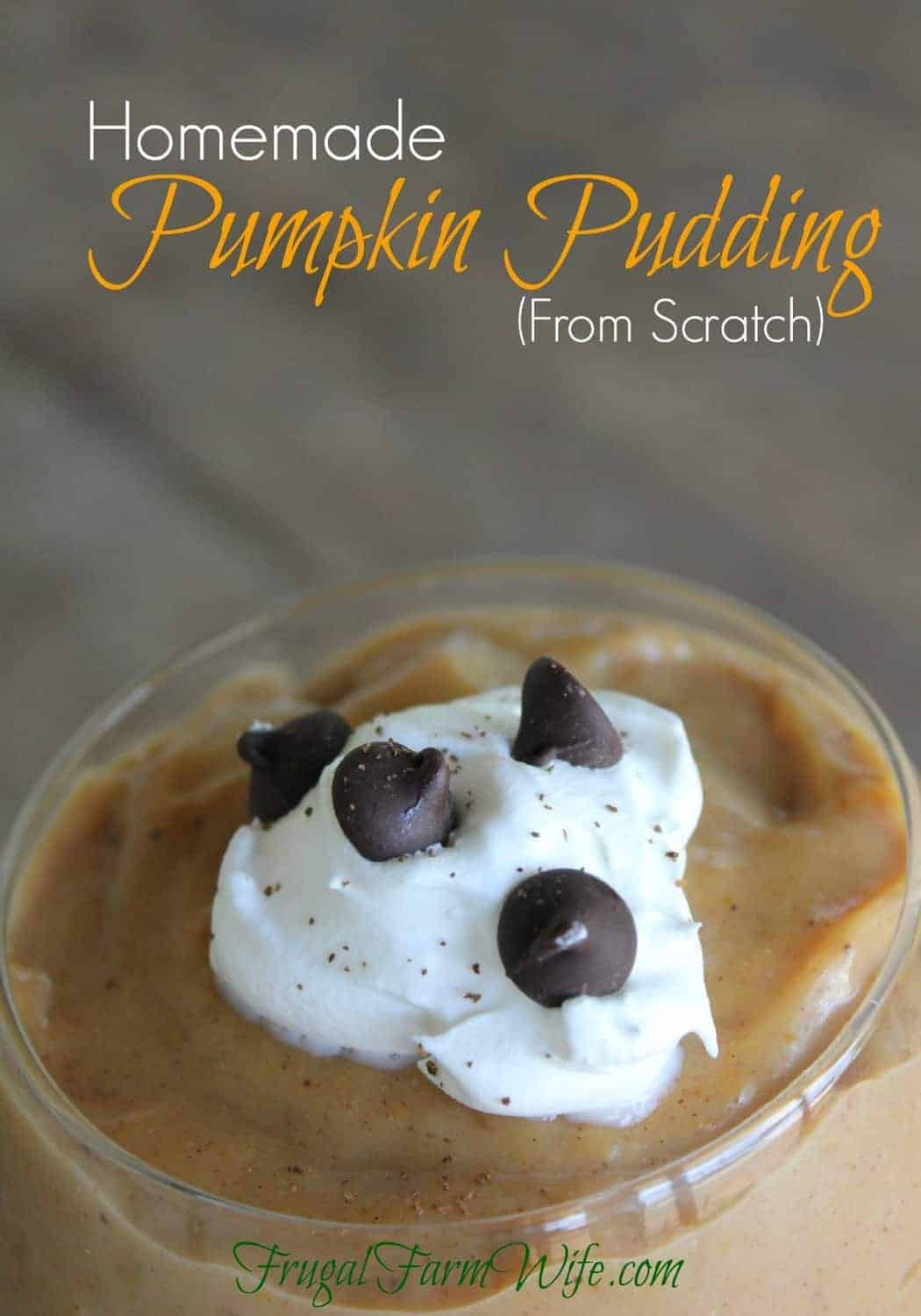 Delicious Homemade Pumpkin Pudding | Frugal Farm Wife