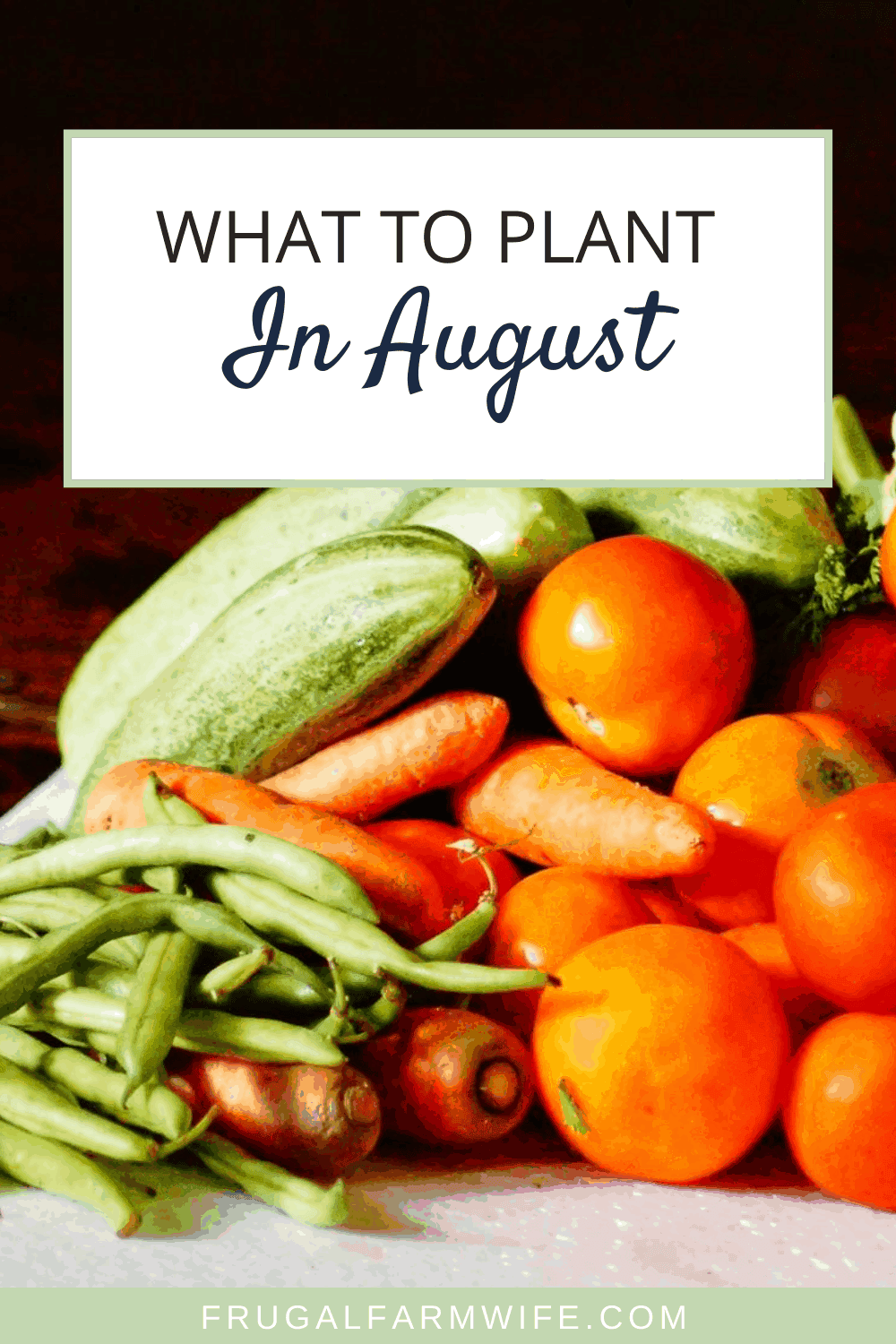 What To Plant in August - The Frugal Farm Wife